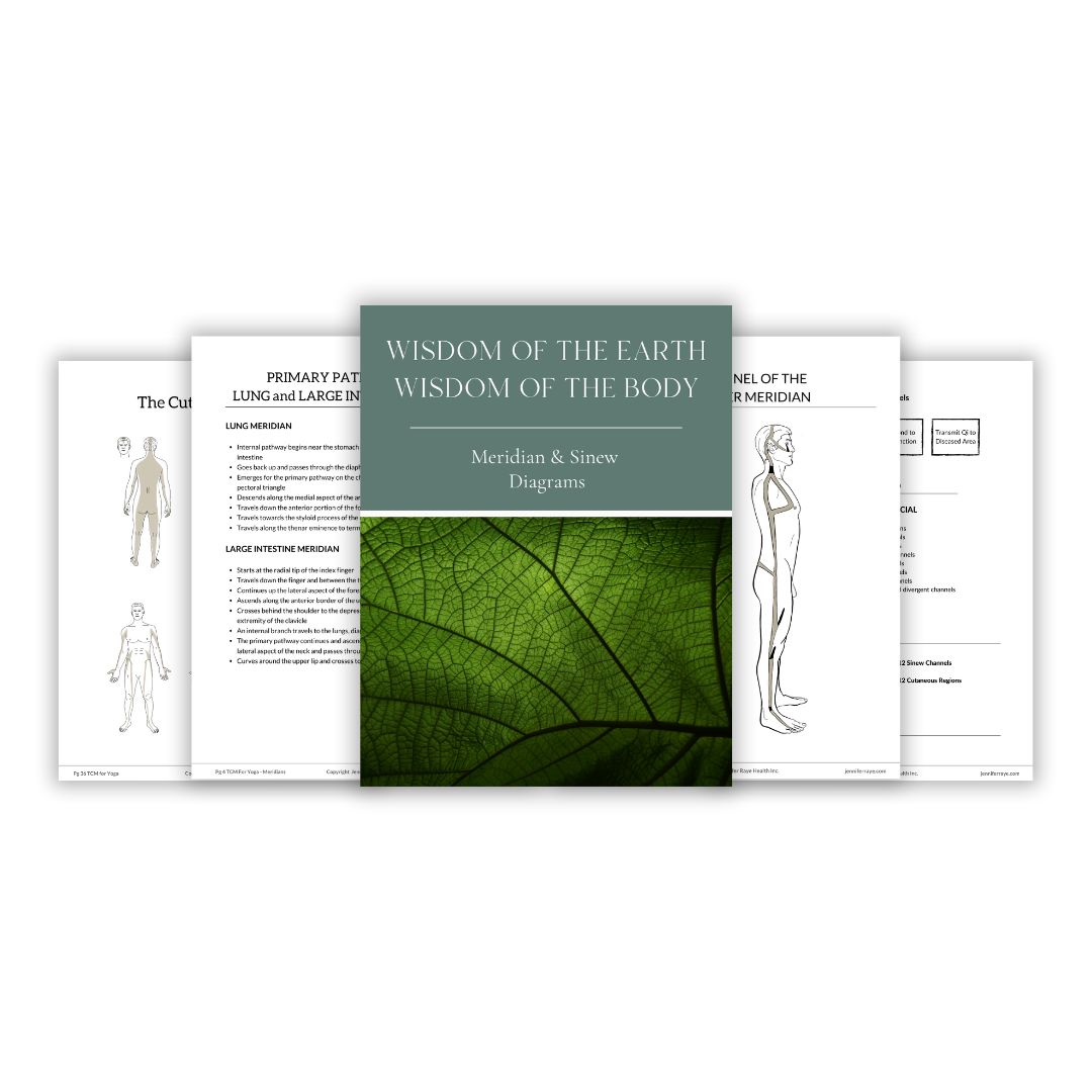 Guide - Meridian & Sinew Channels - Inner Path Institute